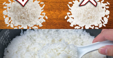 All Recipes Archives - iadun