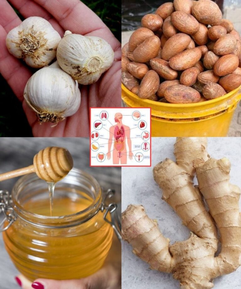 Miraculous Combination: Bitter Kola, Garlic, and Ginger for Better ...