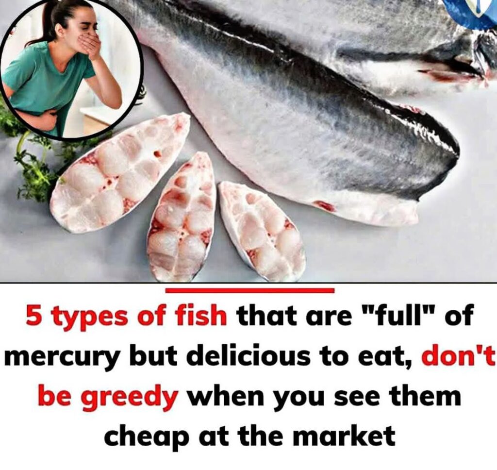 5 High-Mercury Fish You Should Avoid – Delicious But Dangerous! - iadun